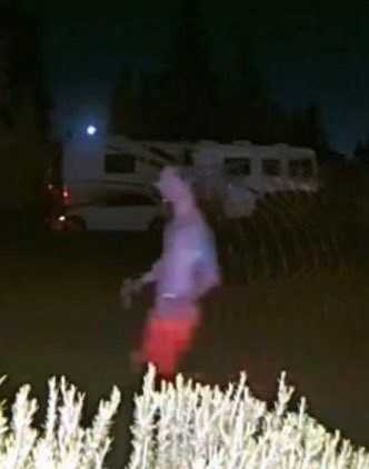 Deputies search for suspect in Roseville shootout who escaped
