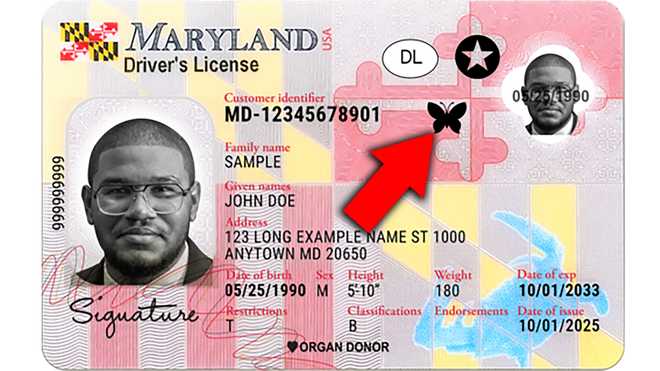 Drivers take notice: Maryland enacts new laws on Oct. 1
