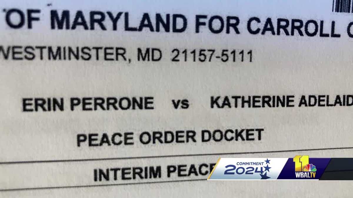 Peace order details alleged harassment of elections official