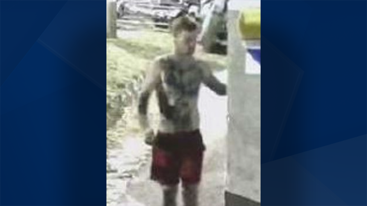 Officials searching for shirtless suspect wanted for vandalizing and ...