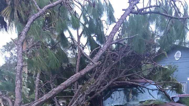 PHOTOS: Hurricane Irma damage