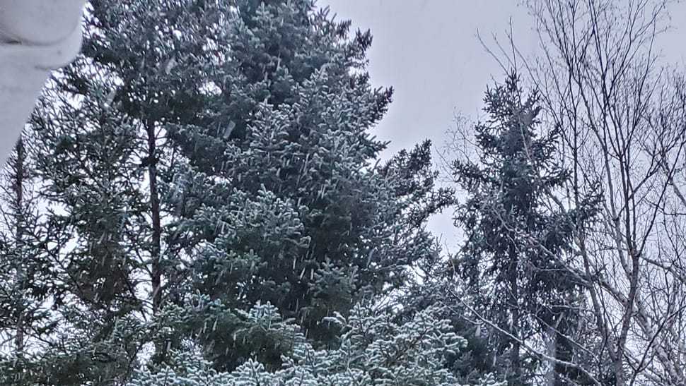 Viewers shared pictures of the snow falling across Maine