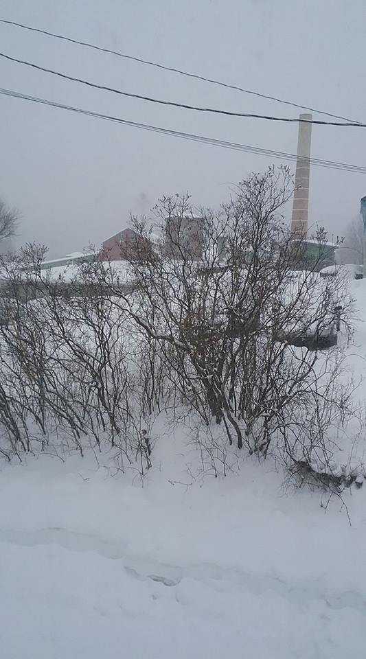 Granite Staters share photos from nor'easter Feb. 12-13