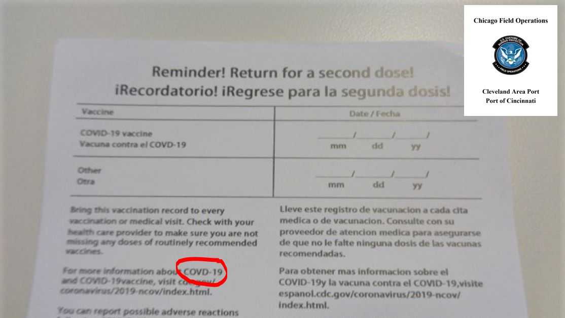 More than 1,600 fake vaccination cards seized by Cincinnati customs agents