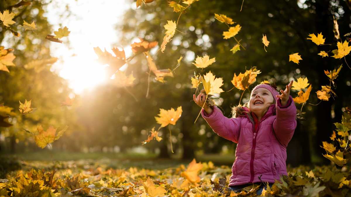 Here's 5 things you may not know about fall Here's 5 things you may not know about fall