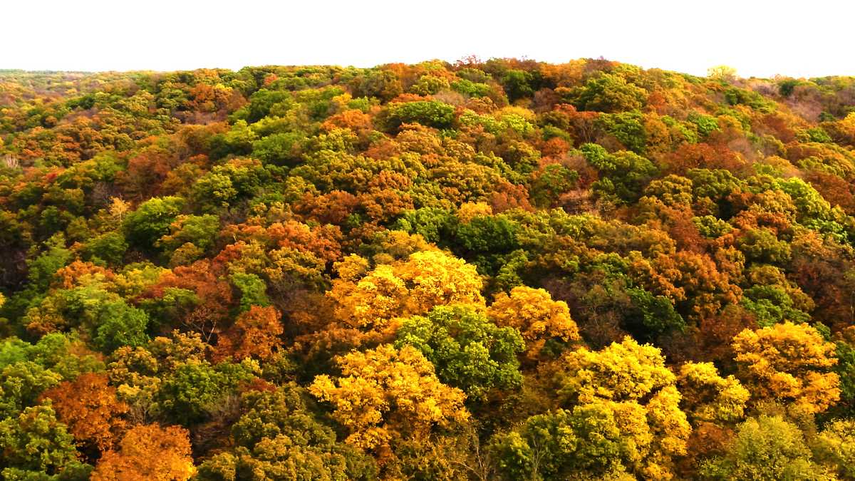 PHOTOS: Fall colors popping in central Iowa