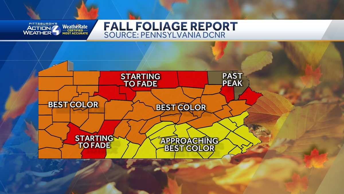 Pa. fall foliage: Pittsburgh area peaking in color this week