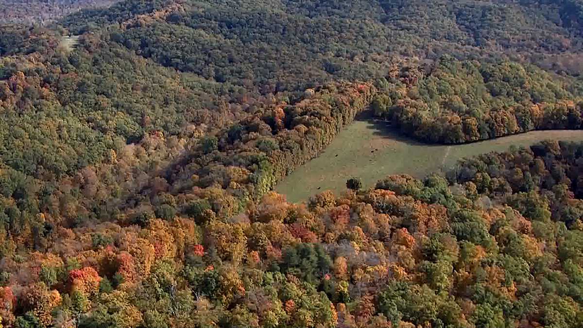 Fall colors in the Louisville area: When foliage is predicted to peak