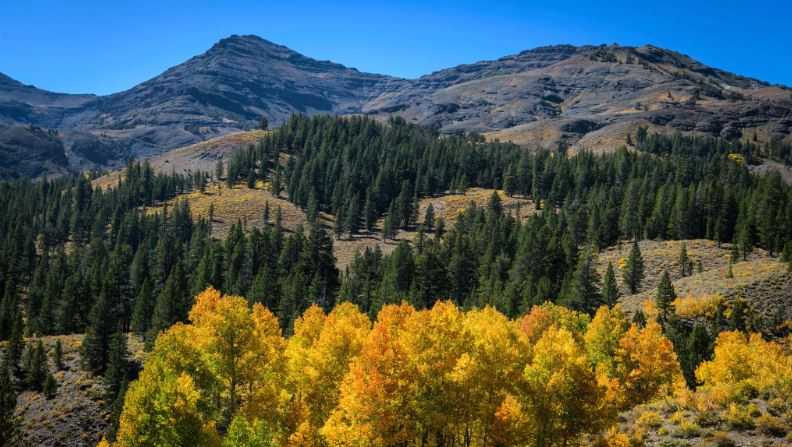 10 great spots for fall color in California