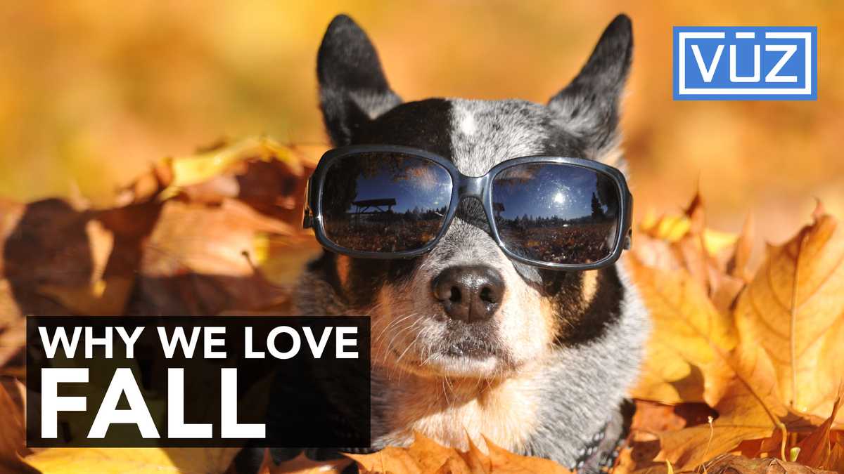 Five reasons we can't wait for fall