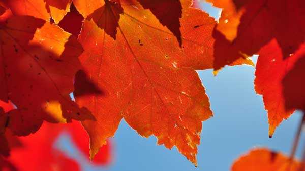 Weekend weather planner: Fall chills makes its debut with chances for rain