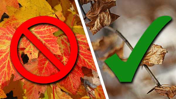 Thanks to weird temps, it will be an ugly autumn in Cincinnati