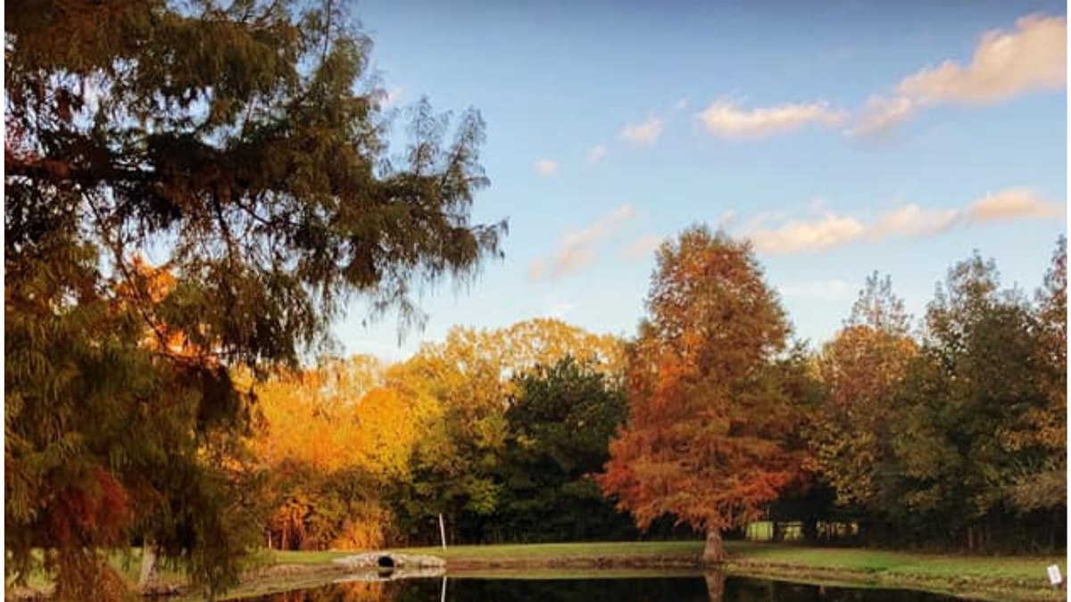 Check out these beautiful fall pictures around Mississippi