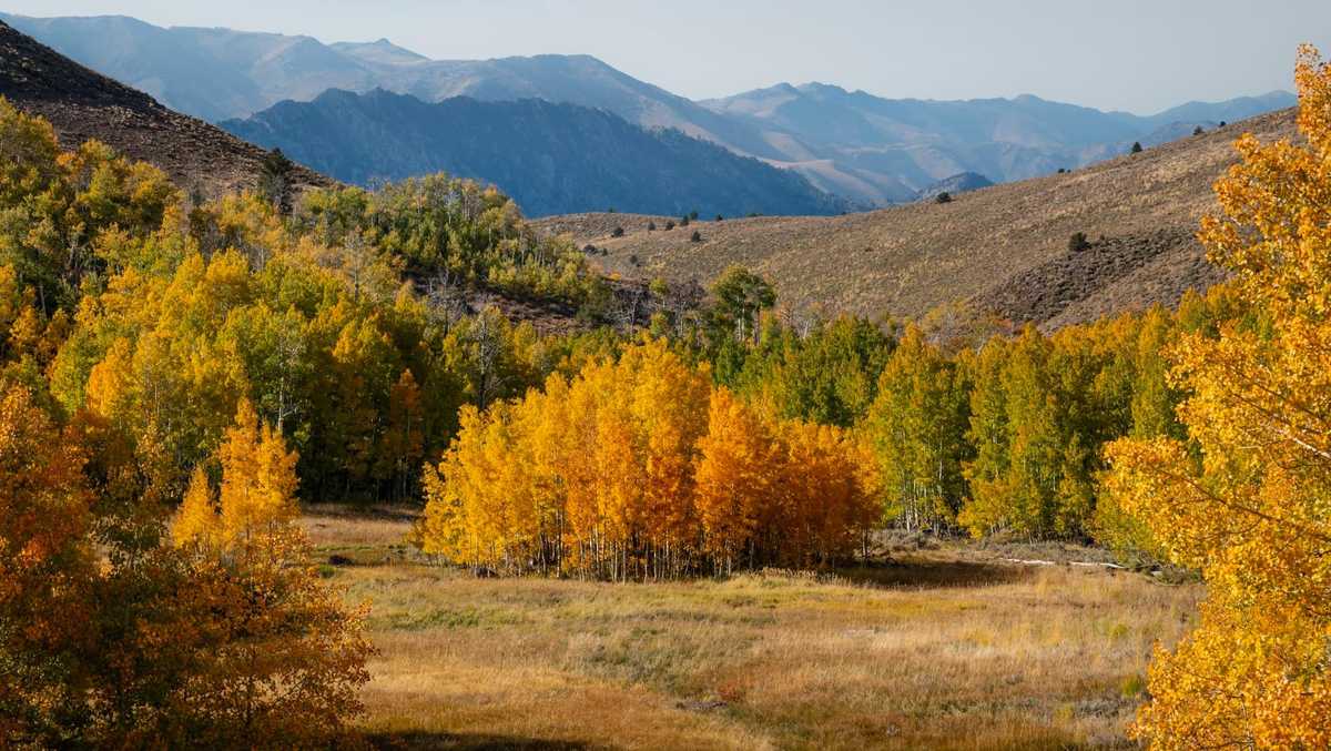 Best places to see California fall foliage as leaves change color