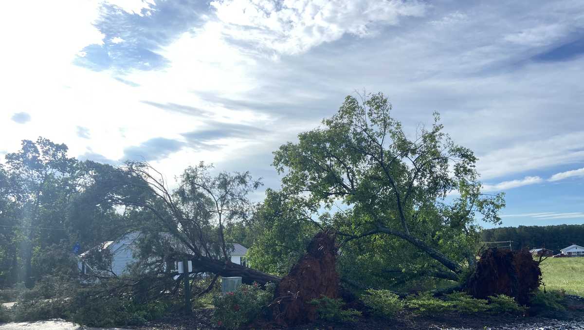 PHOTOS: damage to buildings on farm, trees after storm