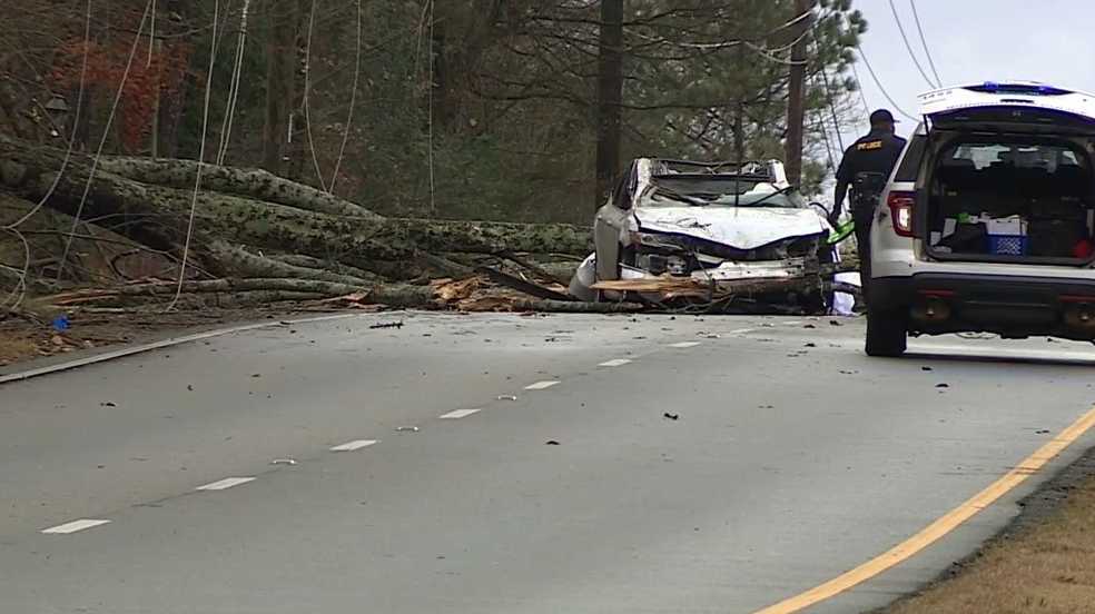 Driver killed by falling tree during strong storm in Alabama