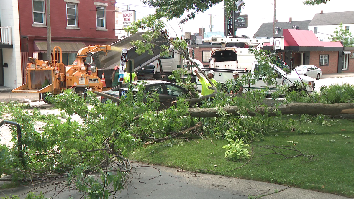 Falling tree limb hits person, car in Manchester, New Hampshire