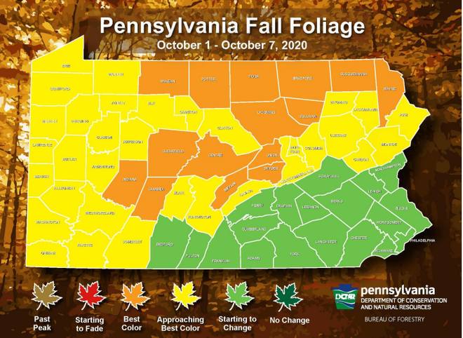 Fall Foliage Nearing Its Peak In Most Of Southwestern Pa fall-foliage-nearing-its-peak-in-most-of-southwestern-pa
