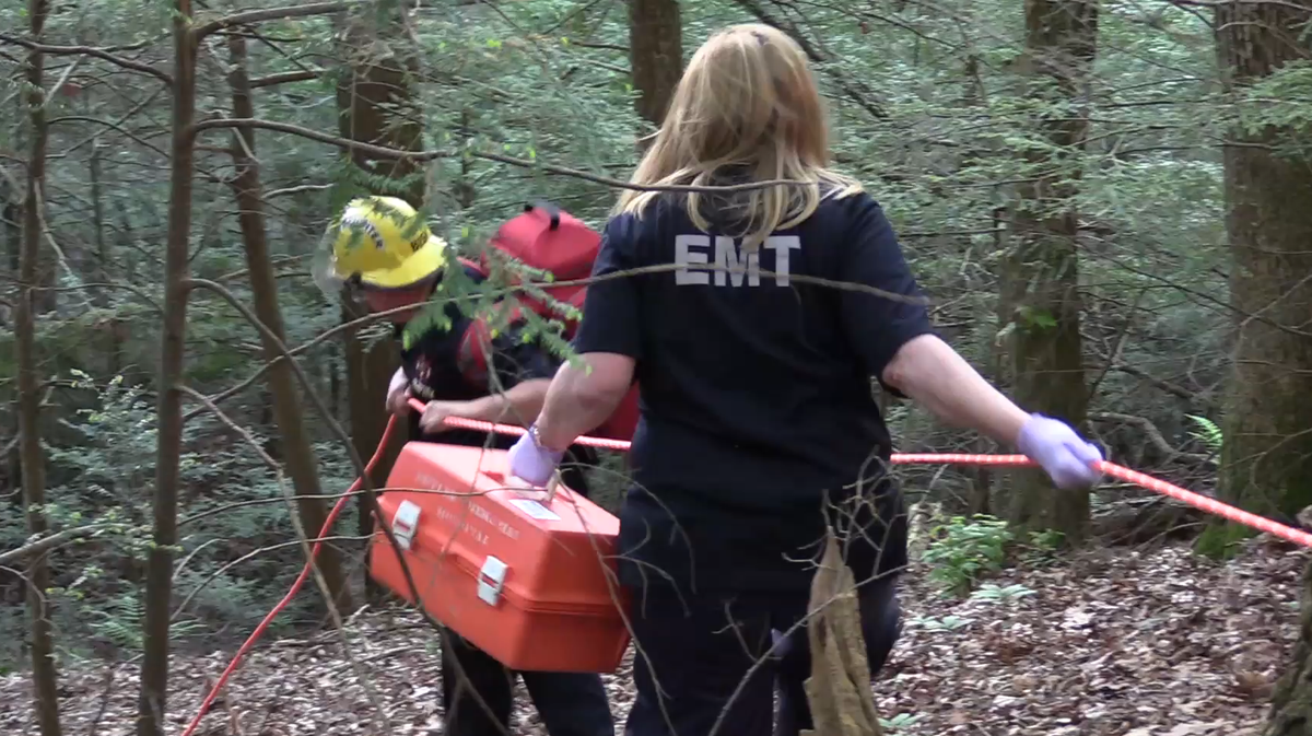 Woman flown to hospital after plunge at waterfall in McConnells Mill ...