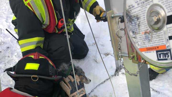 Maine firefighters help rescue dog trapped in storm drain