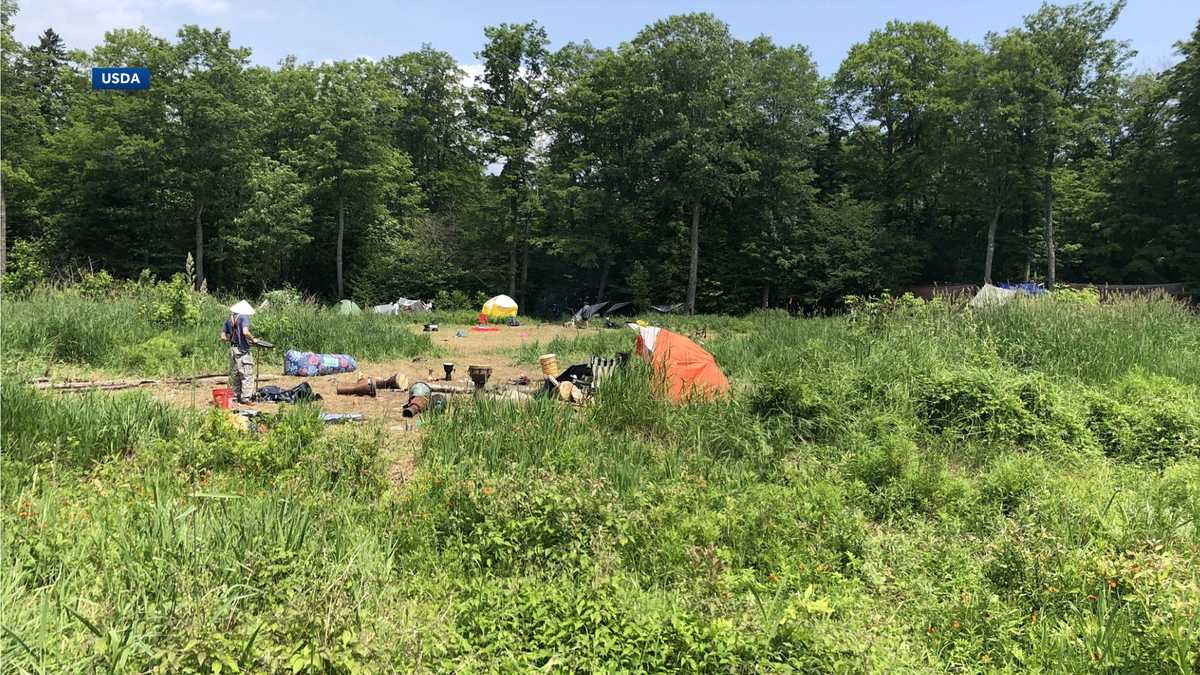 Dozens facing violations related to Rainbow Family gathering in NH