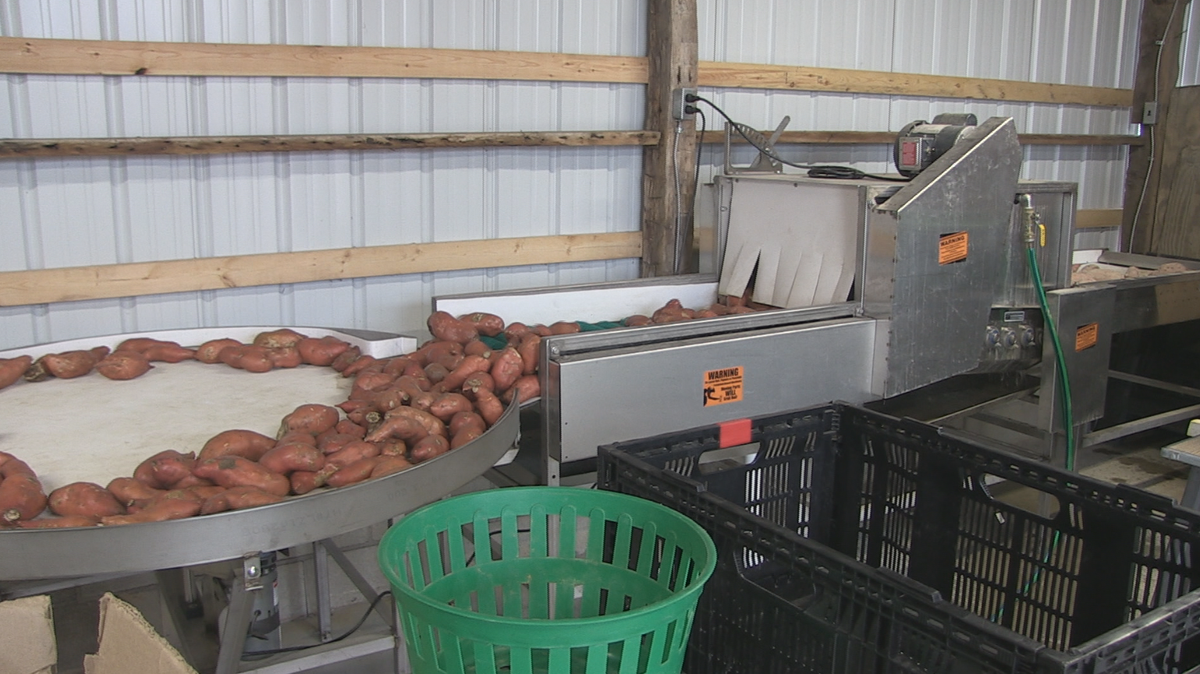Farm-to-table teaches kids to eat local, taste new foods