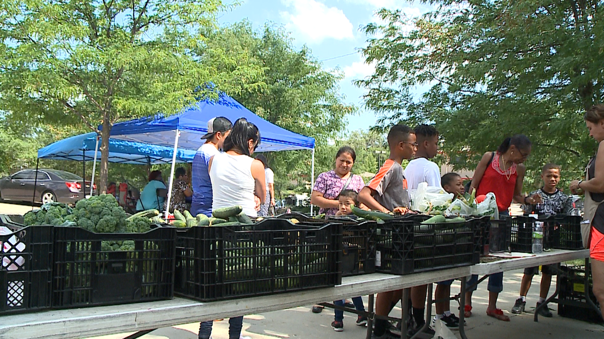 Fighting a food desert with a farmers market