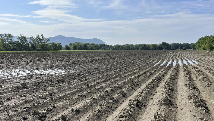 Vermont farmers take stock after losing crops to flooding two years in ...