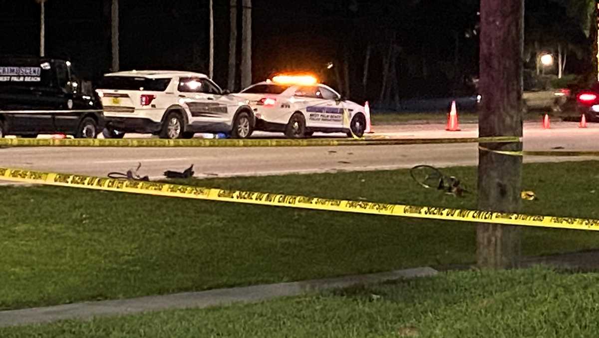 Witnesses force driver to stop after deadly hit-and-run crash in Florida