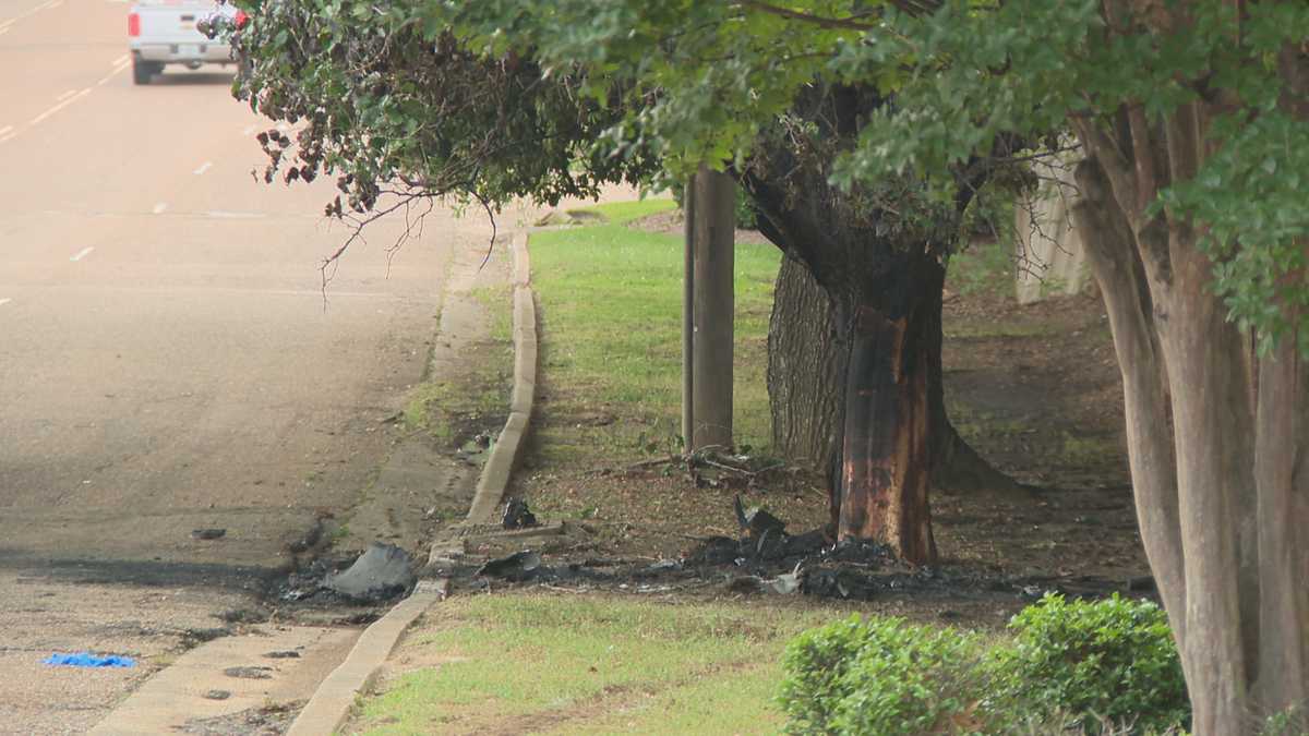 Erin Pickens - Journalist Profile - Intelligent Relations