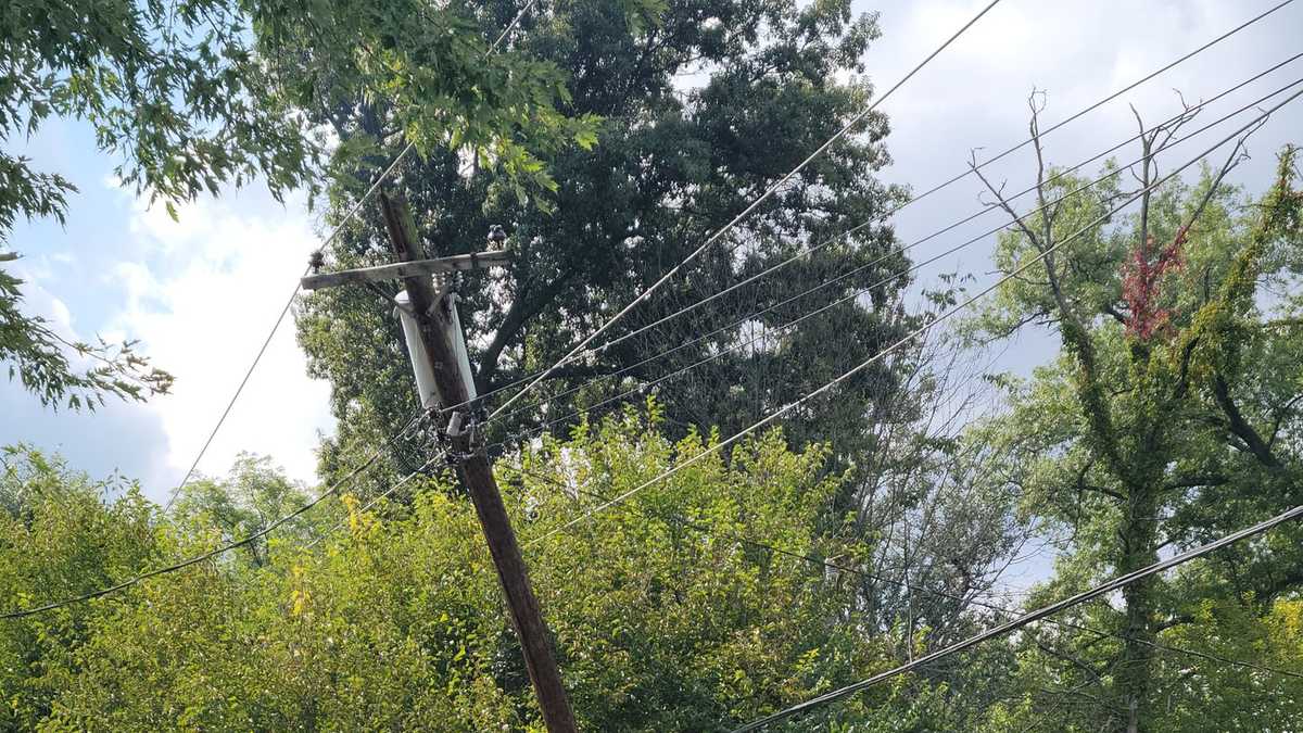 Police: Foster-Maineville Road closed after a car struck a utility pole