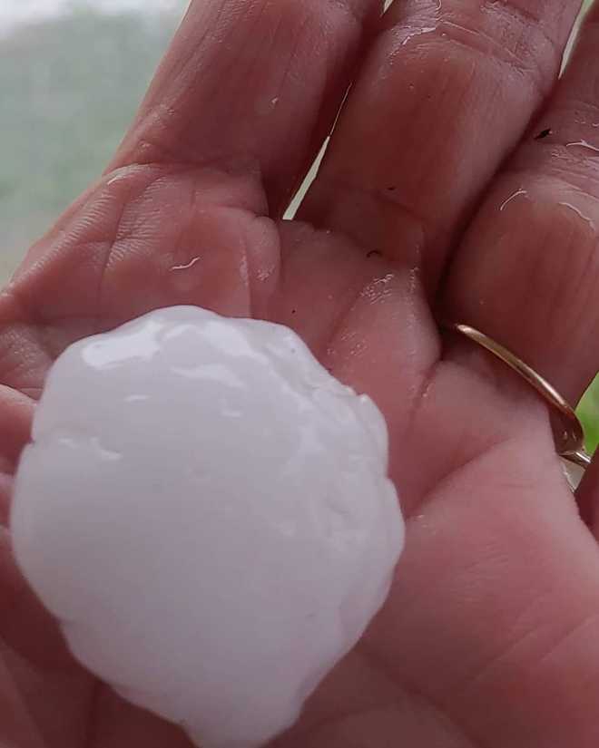 Strong storms bring rain, wind and hail to many areas of Alabama
