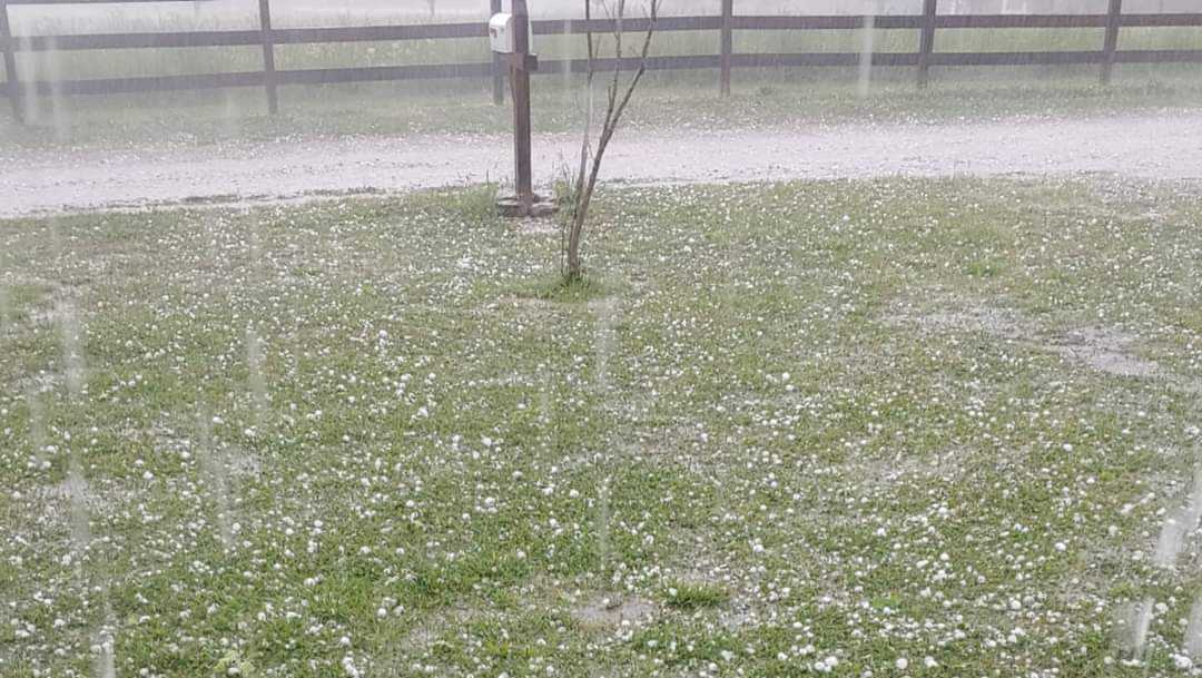Strong storms bring rain, wind and hail to many areas of Alabama