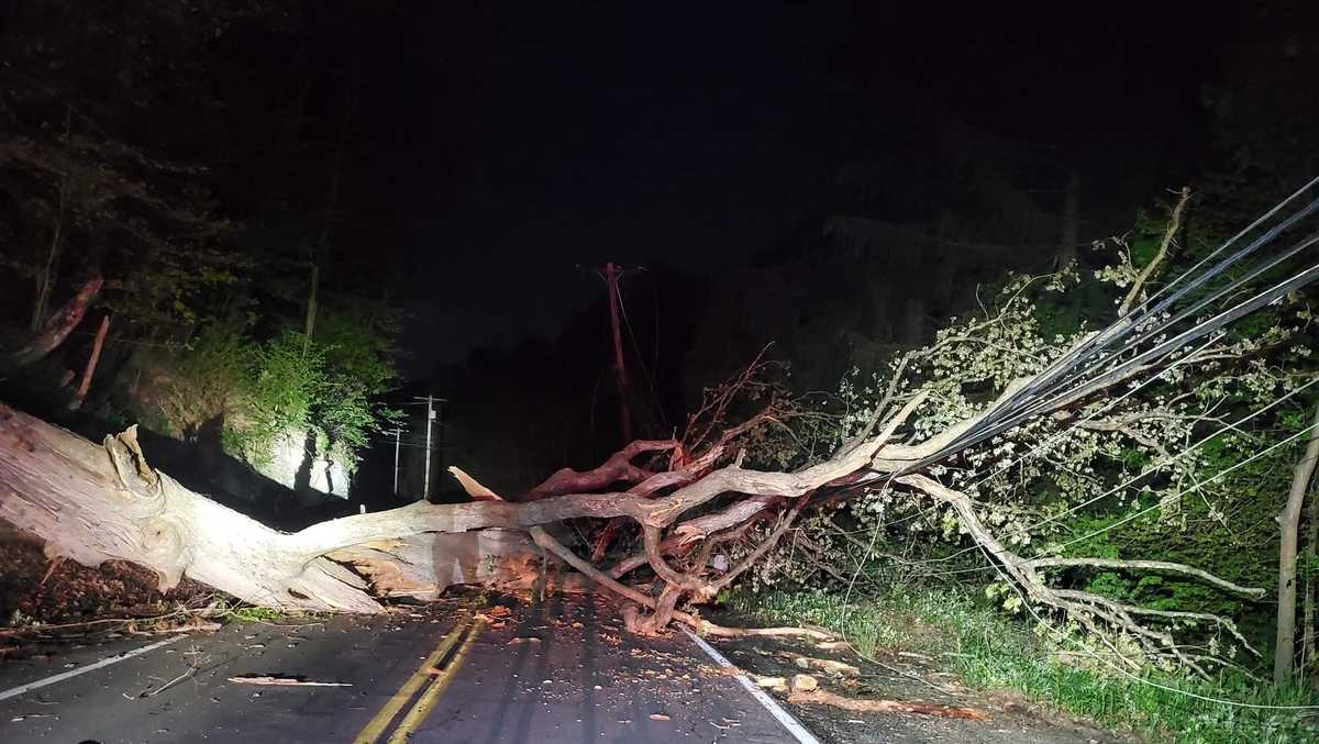 Tree comes down blocking road in Lincoln Borough
