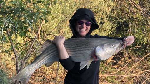 40-inch fish caught in Sacramento River Delta