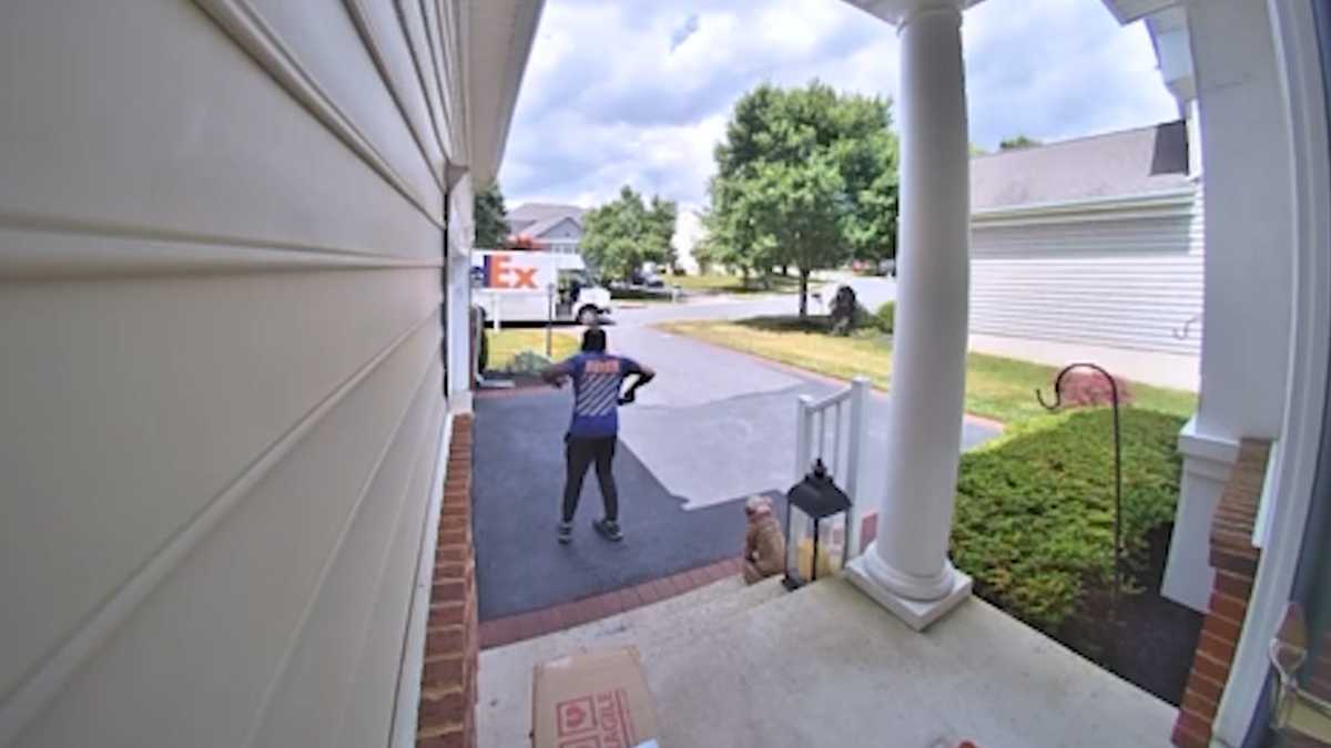 Video shows delivery driver dancing after damaging package
