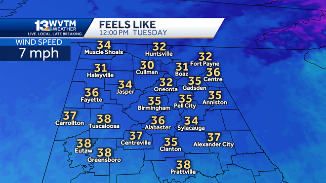 Arctic air means several freezing nights in Alabama's forecast