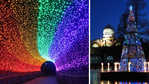 Cincinnati Zoo Festival of Lights back in 2021: What to expect