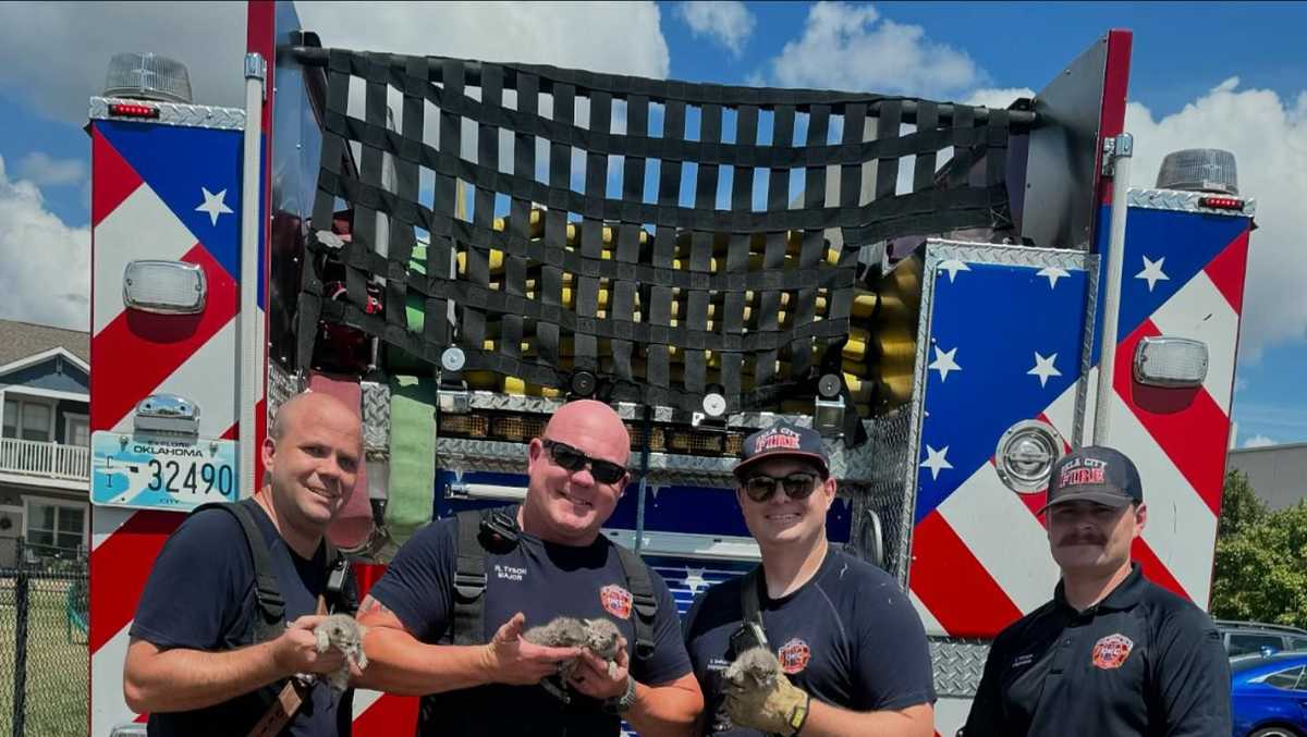 OCFD: Kitten rescues, fires keeping firefighters busy for Labor Day weekend