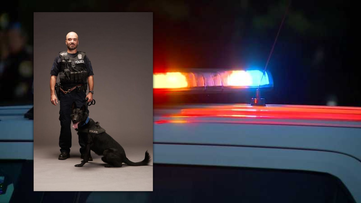 Kansas City police officer, K-9 and pedestrian killed in crash