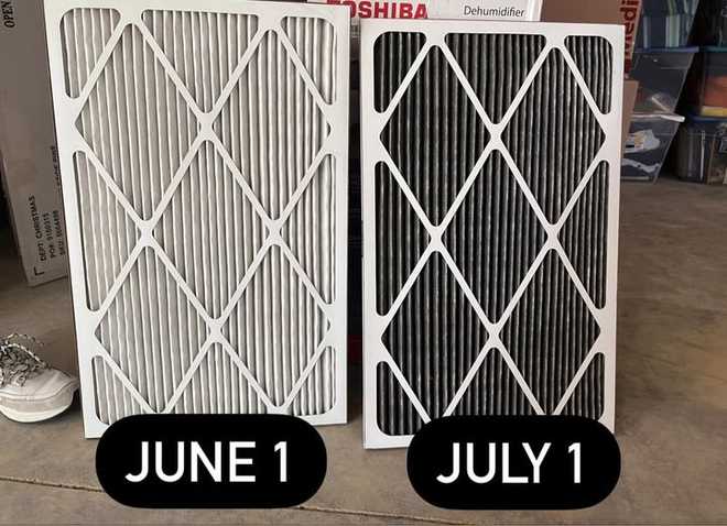 Experts issue reminder to check home air filters after Canadian ...