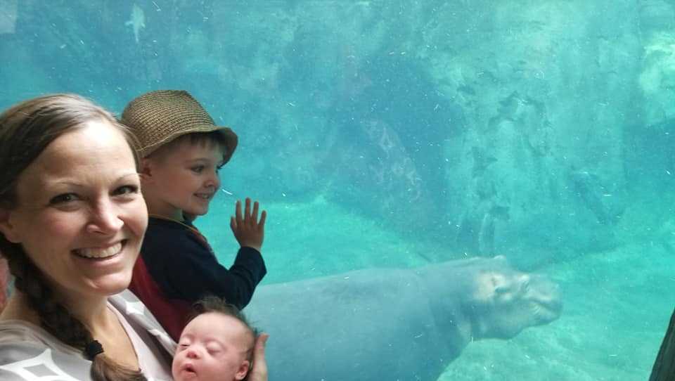 Baby named after Fiona the hippo gets to meet Fiona at Cincinnati Zoo