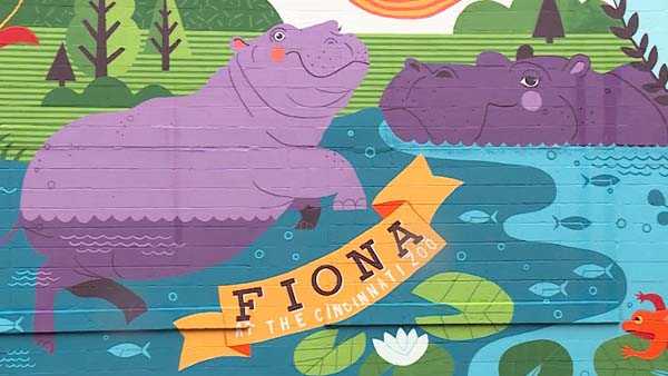 Fiona the hippo mural unveiled downtown Cincinnati