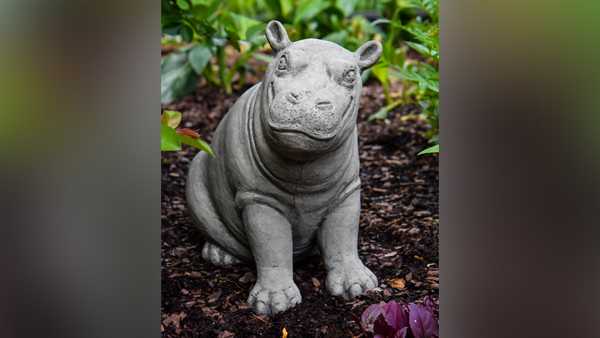 Decorate your garden with a Fiona garden statue from Cincinnati Zoo