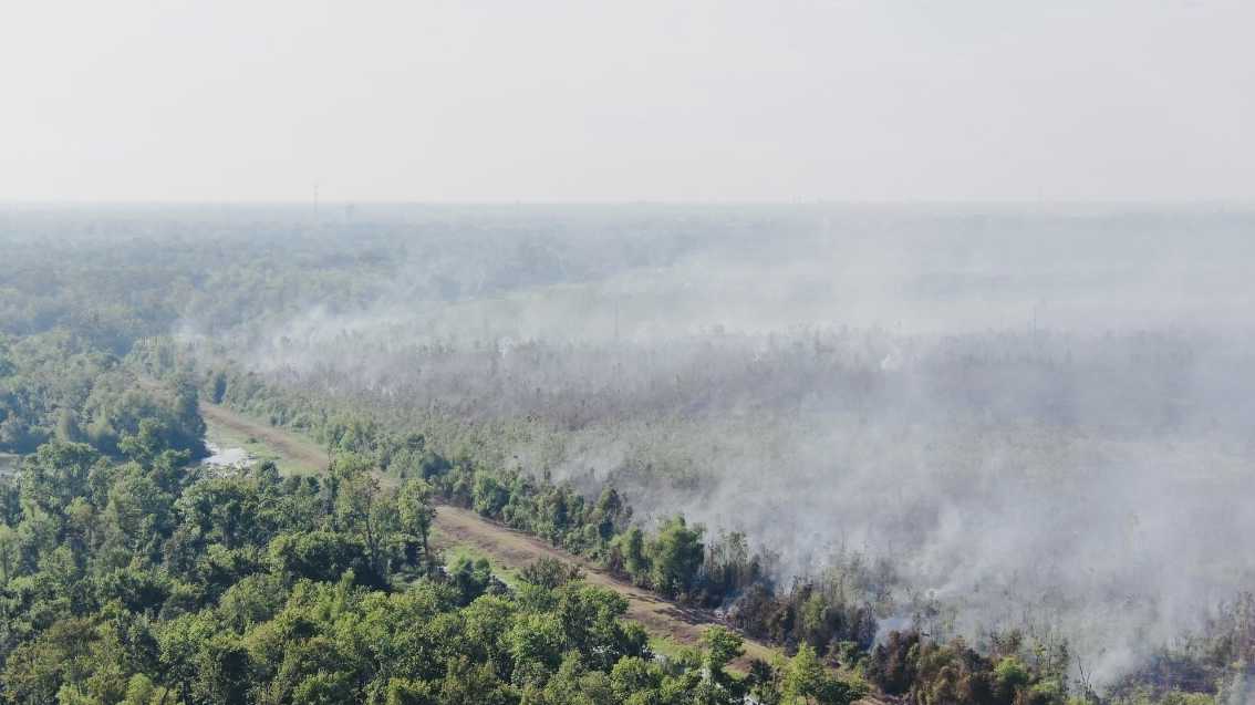 Terrebonne leaders share new pictures of contained marsh fire that's ...