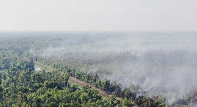 Terrebonne leaders share new pictures of contained marsh fire that's ...