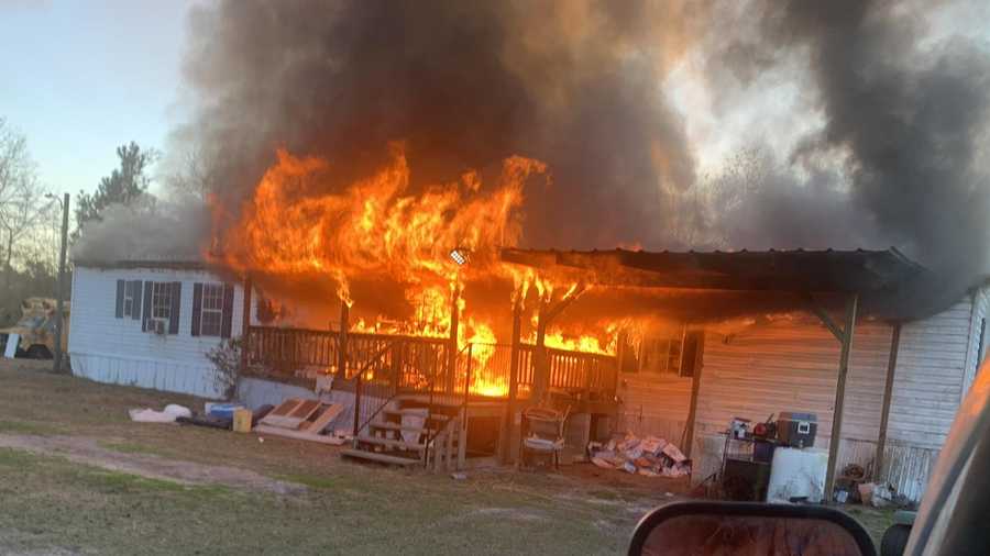 House fire in Claxton kills 6 dogs and forces family out of home