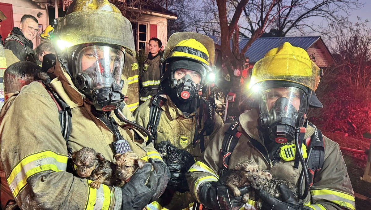 Firefighters save six-week-old puppies from house fire in Gadsden