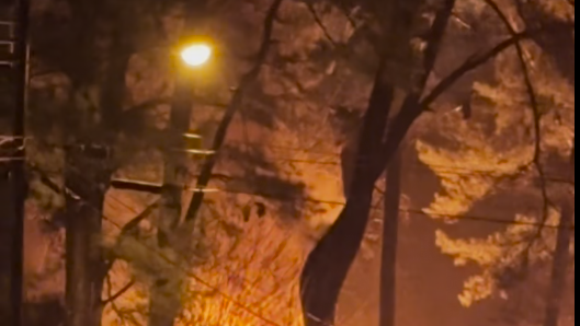 Abandoned house explodes destroying next door home