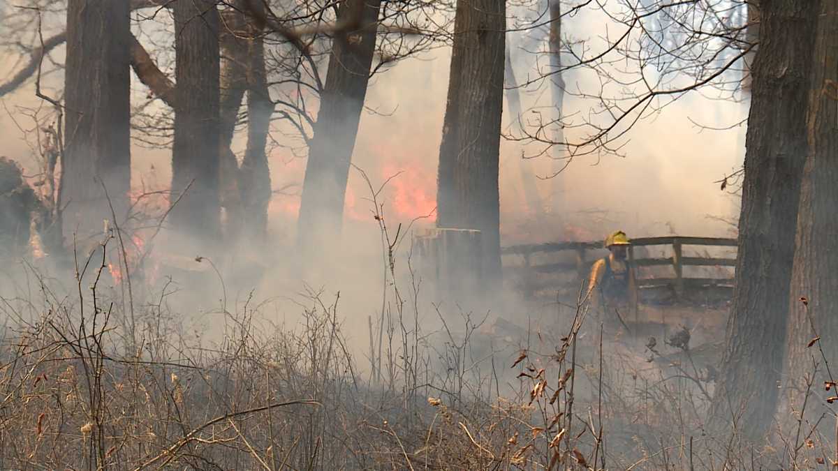 Fontenelle Forest begins controlled burns in woodlands Tuesday